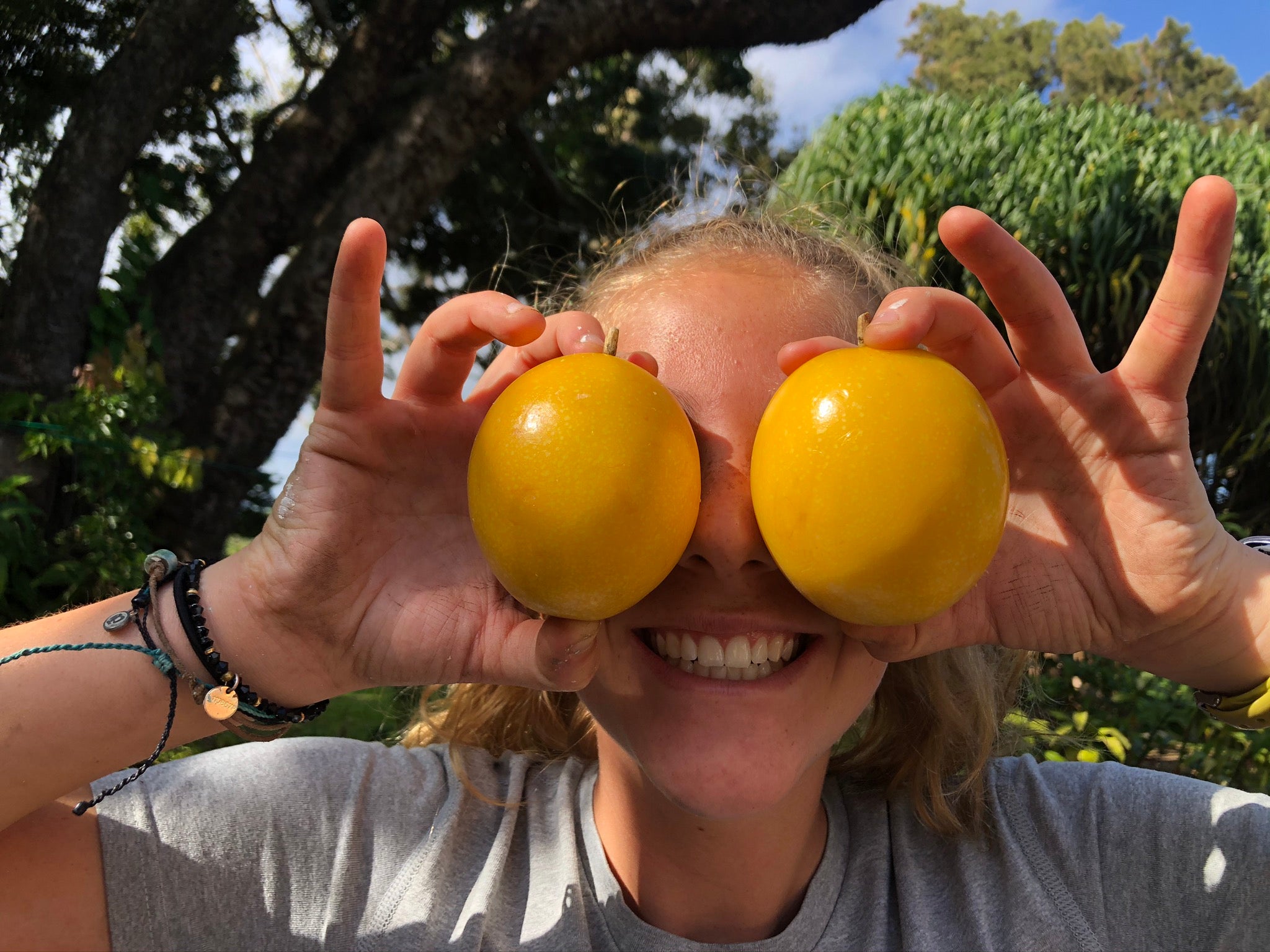 Hawaiian Yellow Lilikoi ( Passion Fruit) – Nakihalani Farm